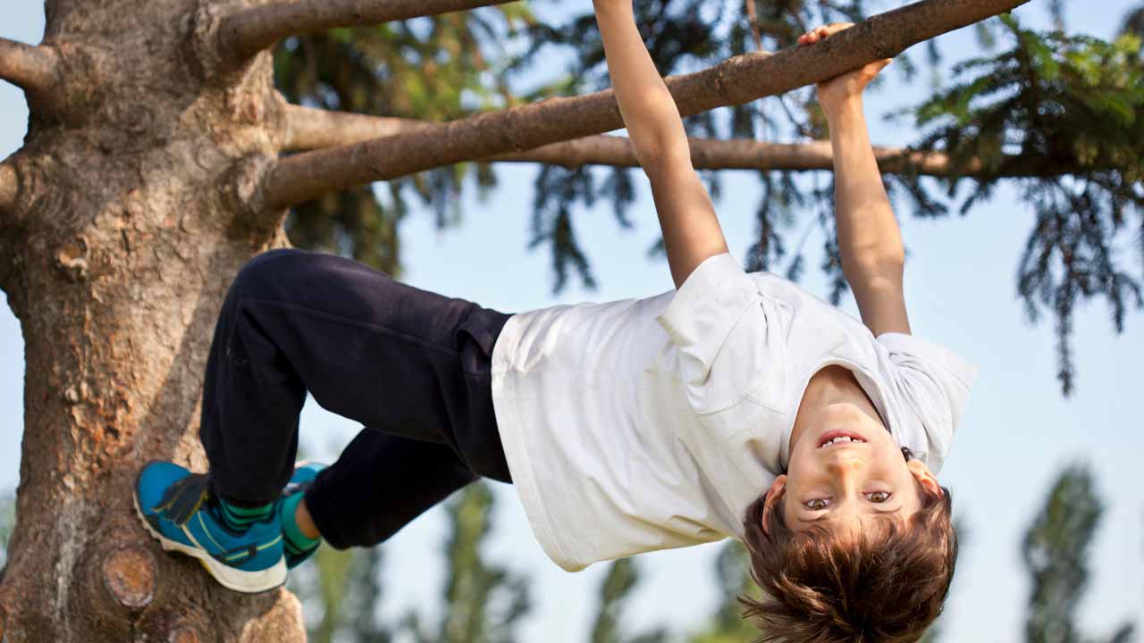 Are Your Soccer Players Rocks or Trees? | MOJO Sports