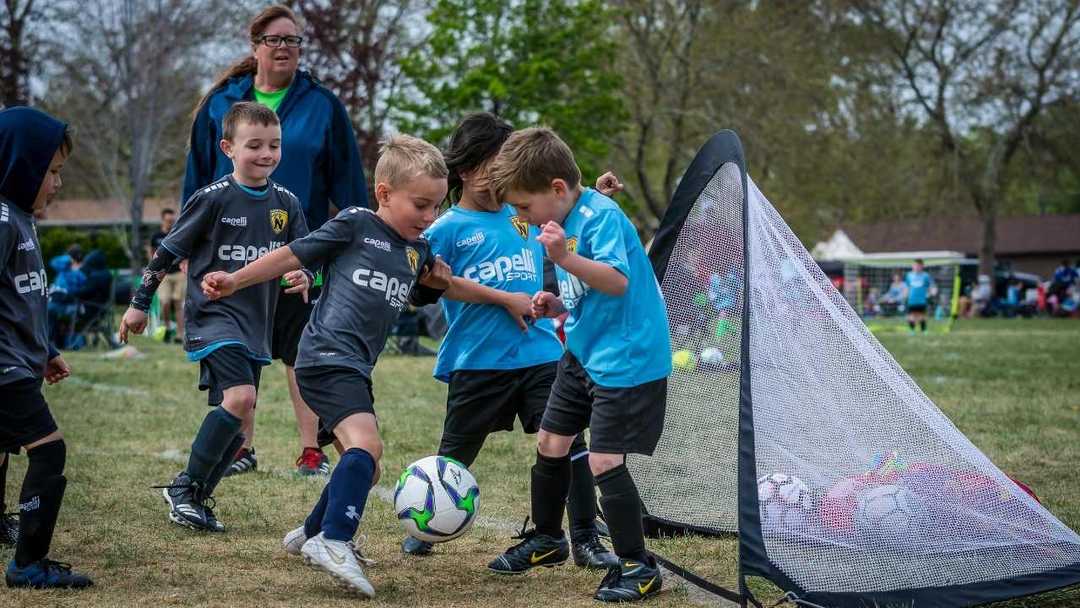 MOJO Player Cards Let Kids Play All Day | MOJO Sports